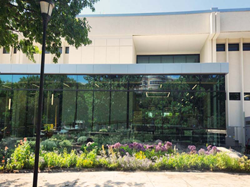 Adult Learning Support