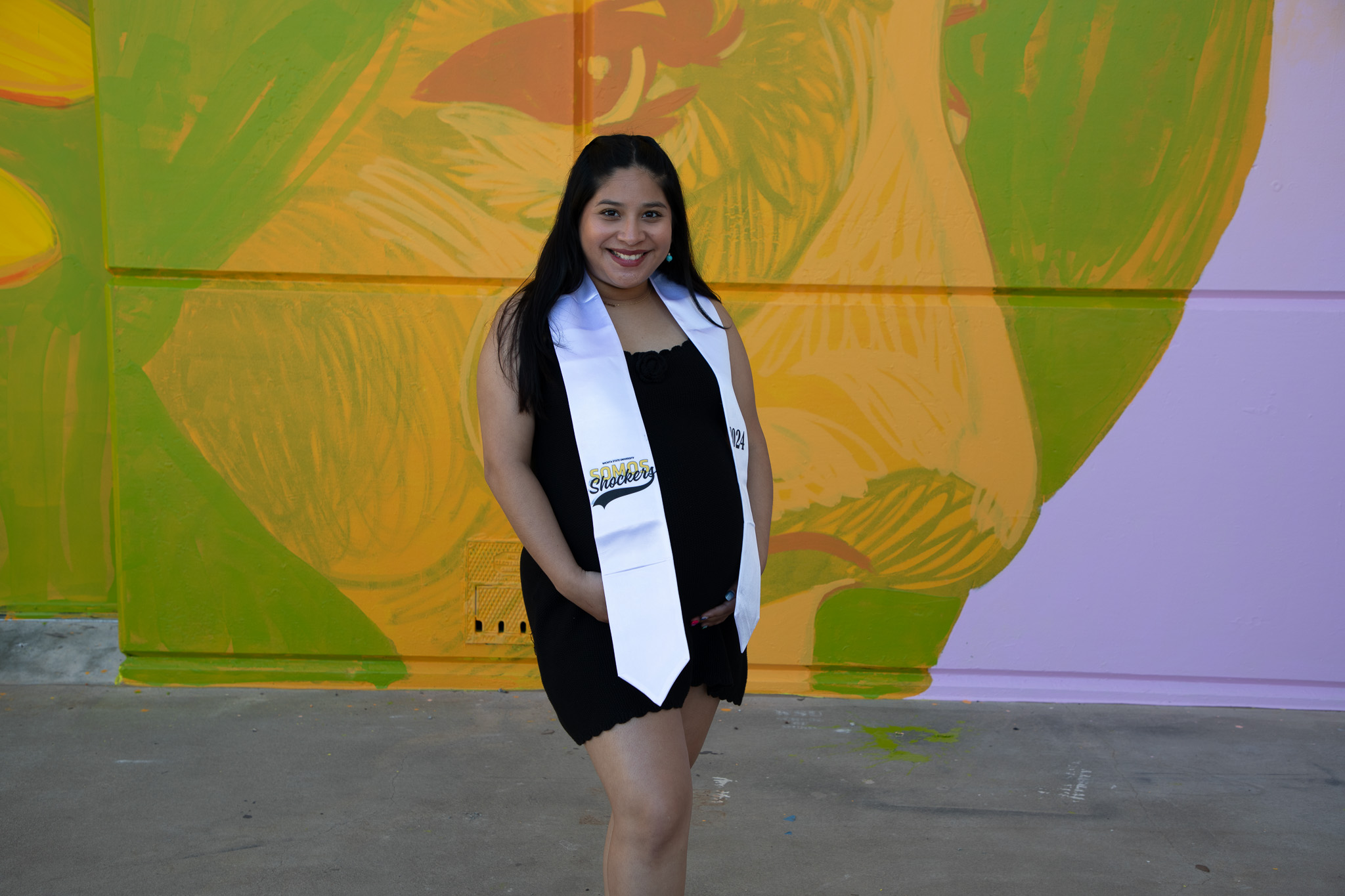 Hispanic Serving Institution