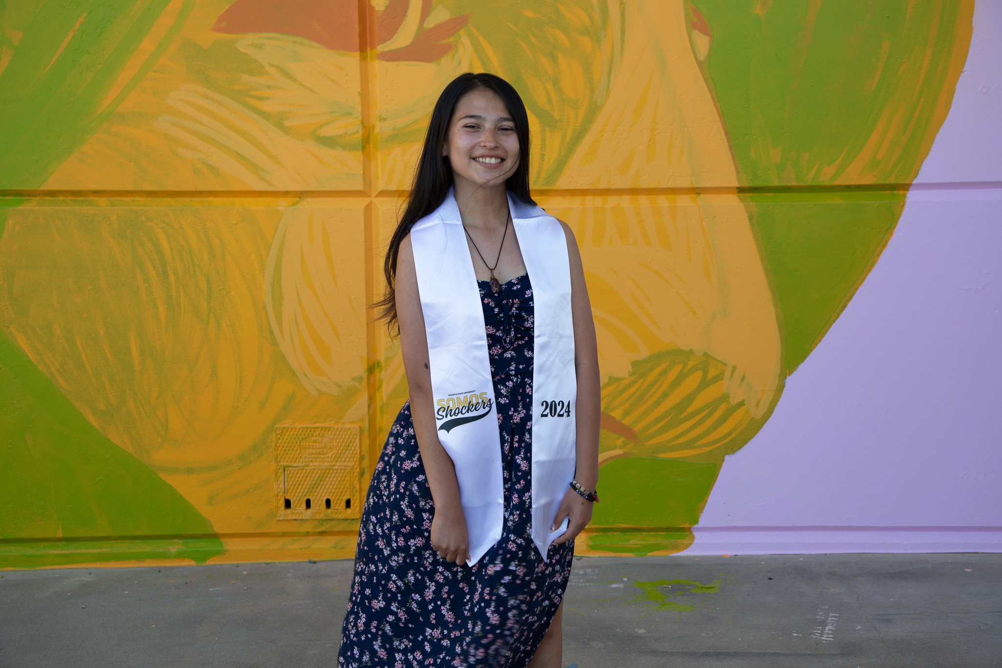 Hispanic Serving Institution