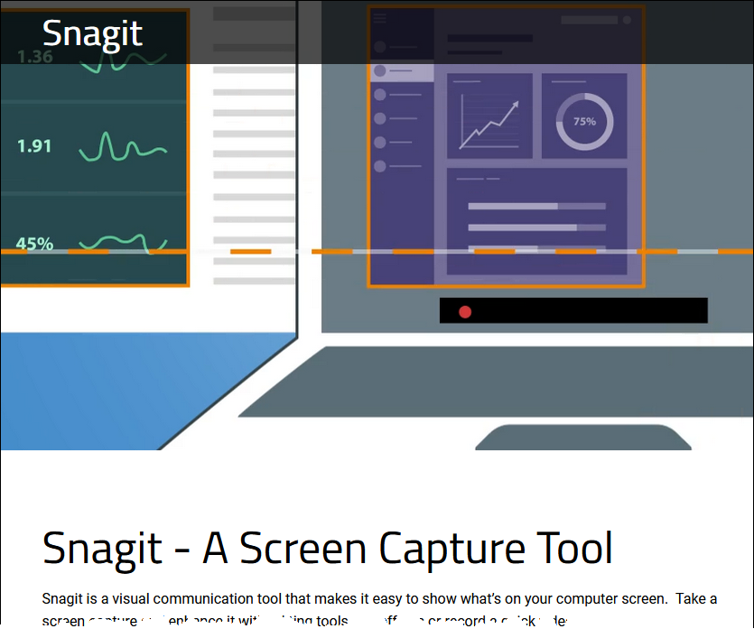 Snagit Access